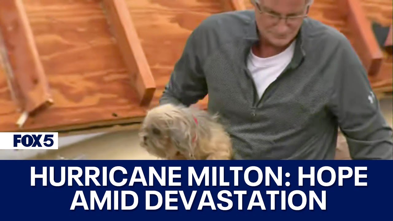 Hurricane Milton: Puppy rescued from rubble left behind by Hurricane ...