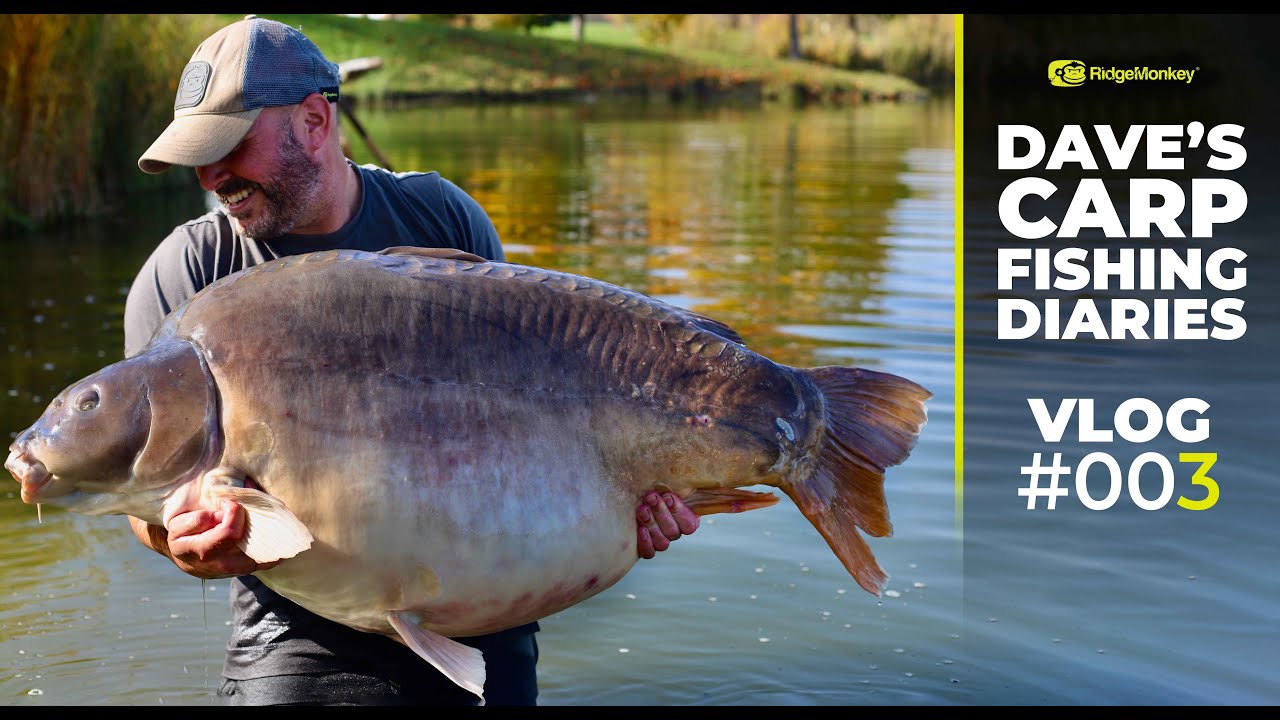 100lb CARP: Dave's Carp Fishing Diaries #003 - YouTube