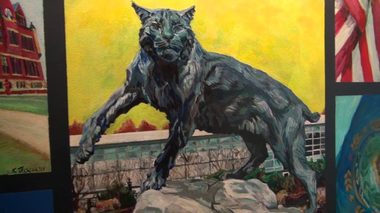 Inside Wildcat Country: Anne Twombly, Cross Country - YouTube