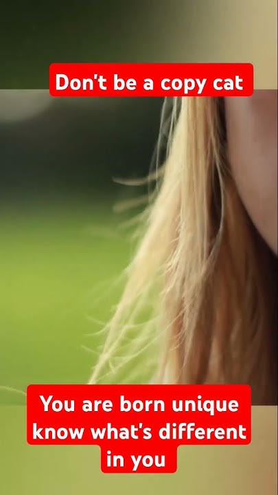 Don't be a copy cat - YouTube