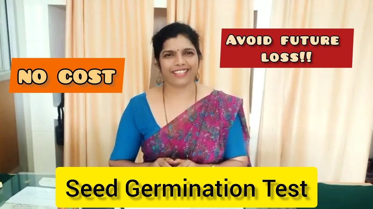 Seed Germination Test at Home! Zero cost ಬೀಜ ಮೊಳಕೆ ಪ್ರಮಾಣ ಪರೀಕ್ಷೆ ಮಾಡುವ ...