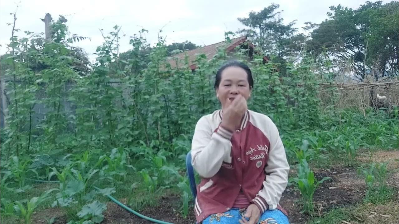 kuv los ua tssug rau nej txhua leej txhua tus txoj kev zoo 14/12/24 - YouTube