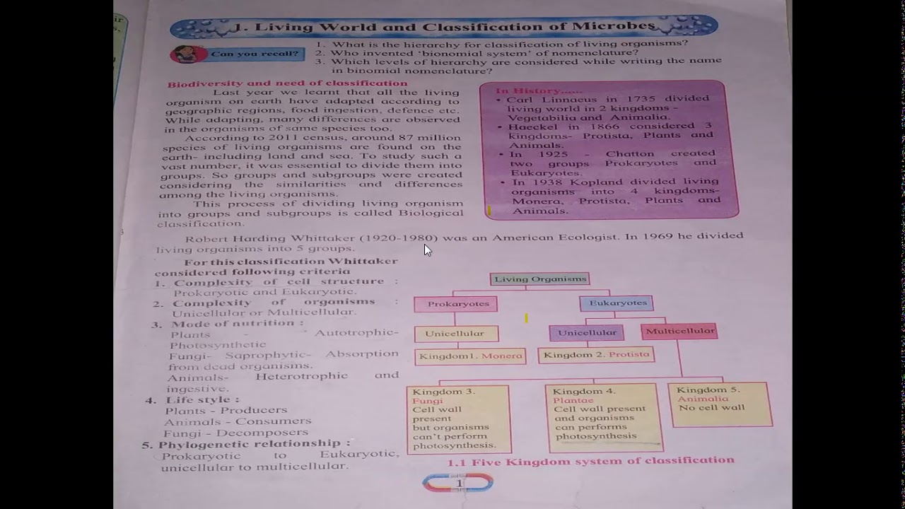 8th standerd science living organisam and its classification - YouTube
