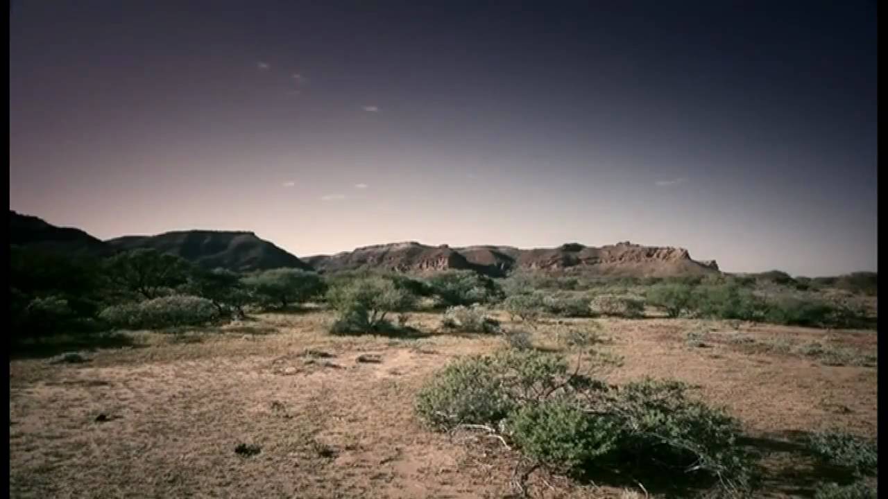 BBC LIFE - Dawson's Bees - YouTube
