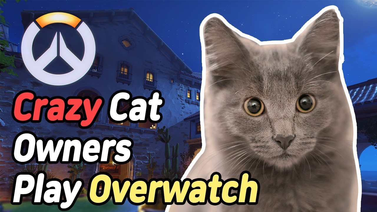 Overwatch | Cat Owners Play Overwatch Competitive - YouTube