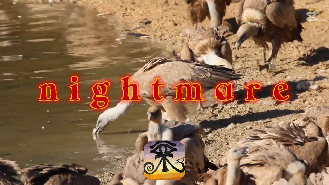 Nightmare I Animals Art Clip - YouTube