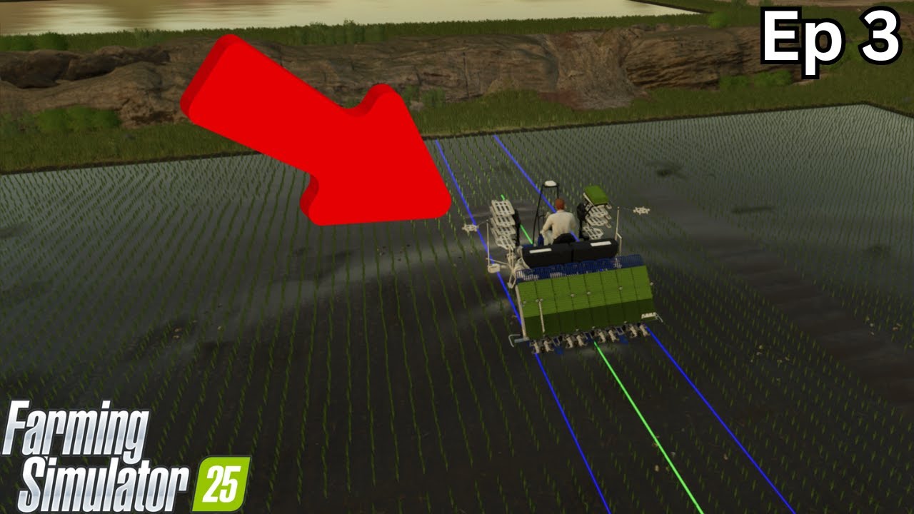 Planting Rice In FS25! | Hutan Pantai Ep3 - YouTube