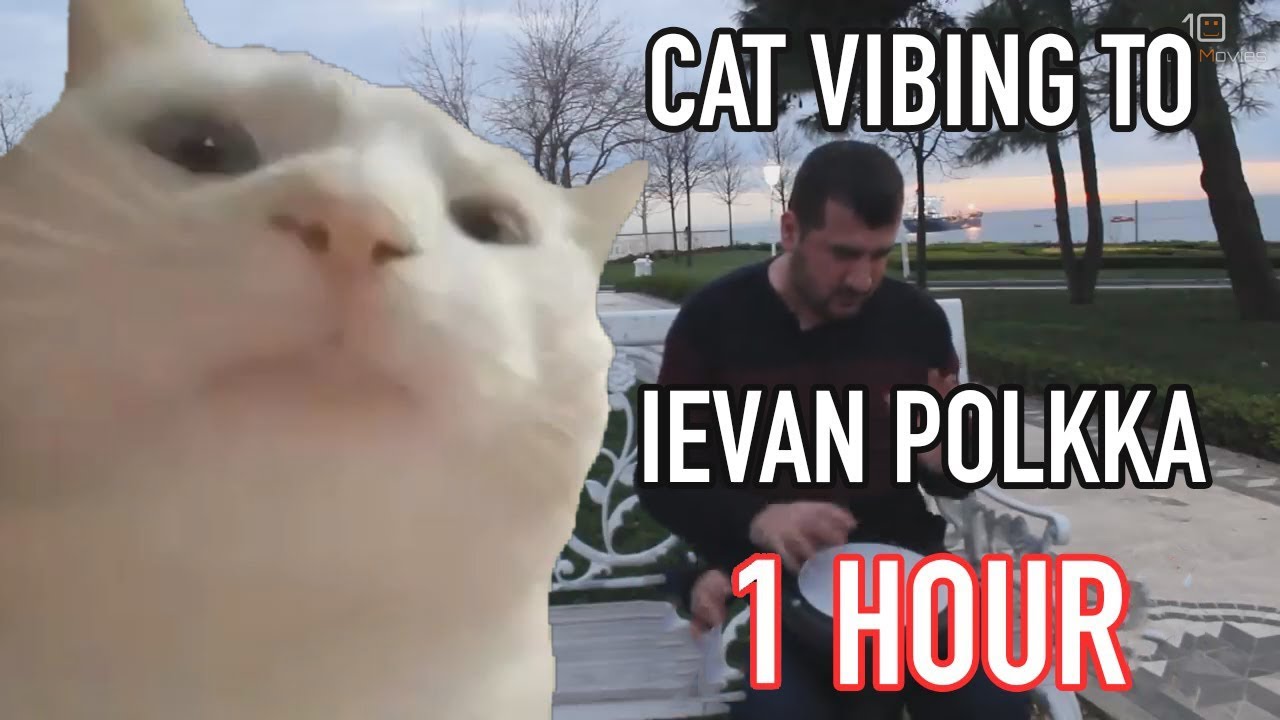 Cat Vibing To Ievan Polkka 1 Hour - YouTube