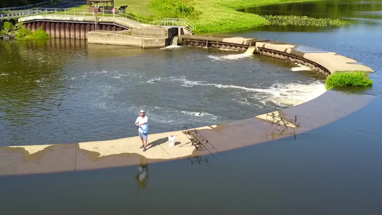 Carp Fishing in MD - YouTube