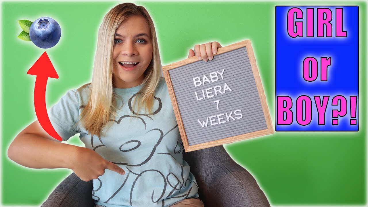 7 WEEK BUMPDATE! GIRL OR BOY?! - YouTube