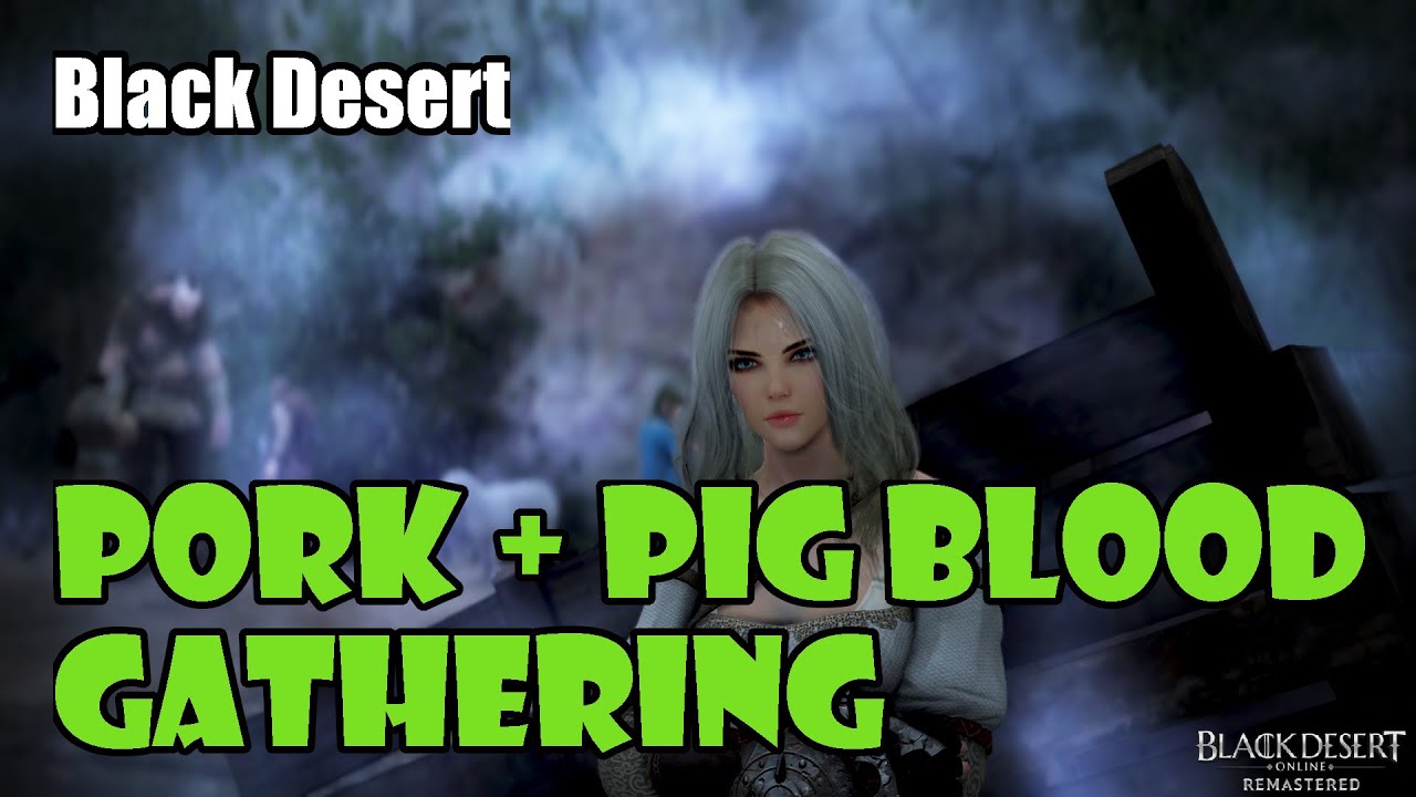 [Black Desert] Pig Blood / Pork Gathering Rotations | 50+ Million ...
