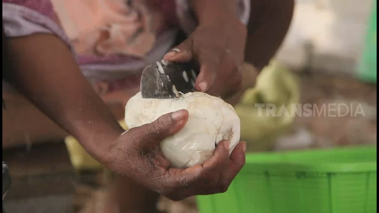 Membuat Embal Singkong | JEJAK ANAK NEGERI (28/08/19) - YouTube