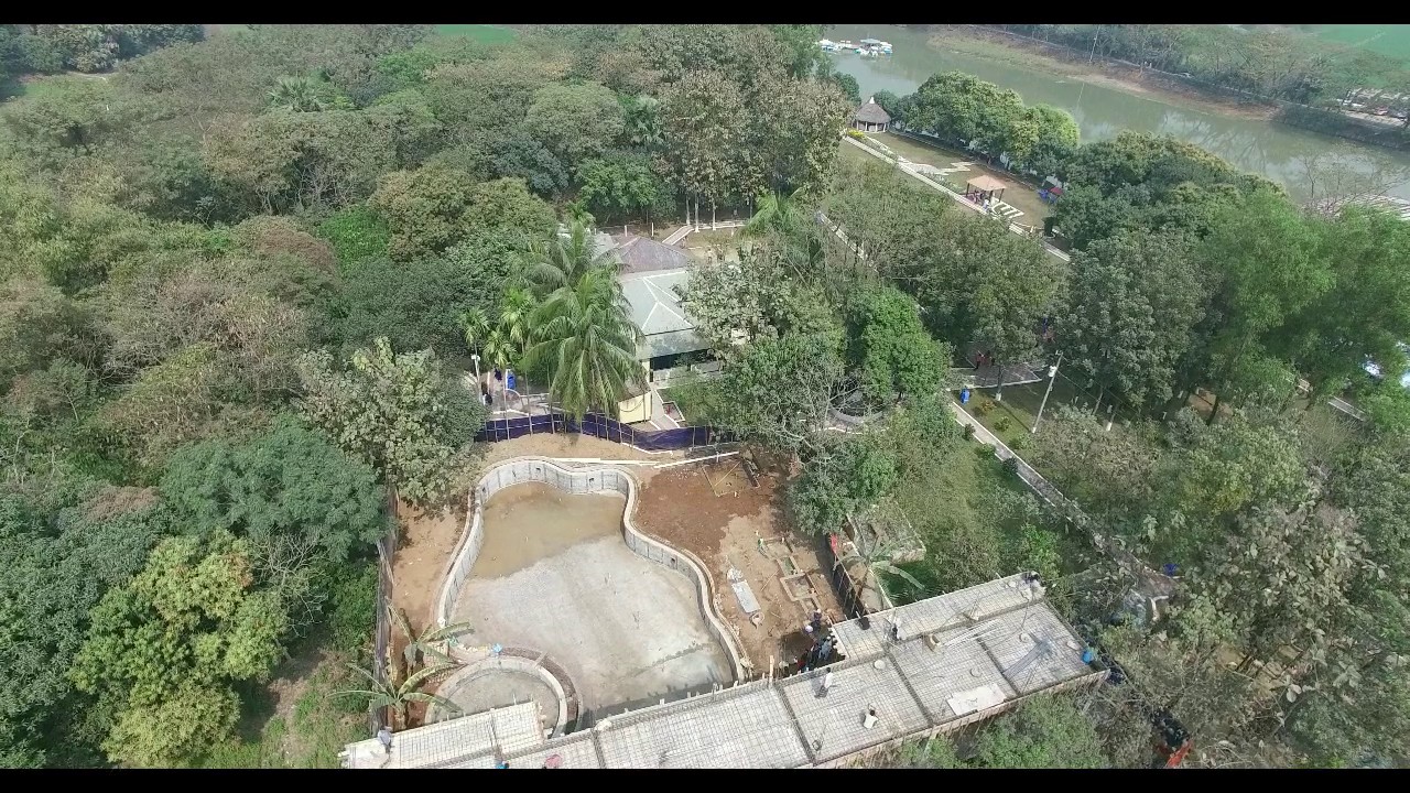 PSCC Resort - YouTube