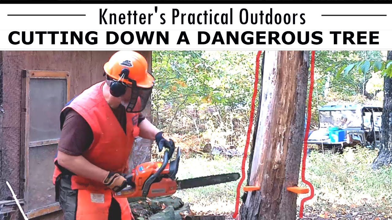 CUTTING DOWN A DANGEROUS TREE - YouTube