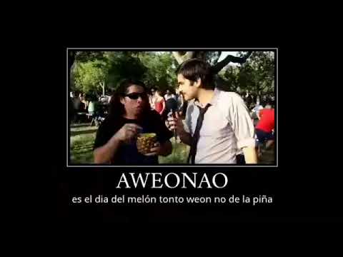 Día del melón - YouTube