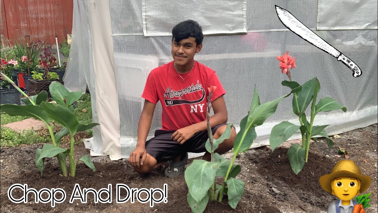 Chop And Drop!!🧑‍🌾 ️🌿S:1,Ep.37//Ultimate Gardening - YouTube