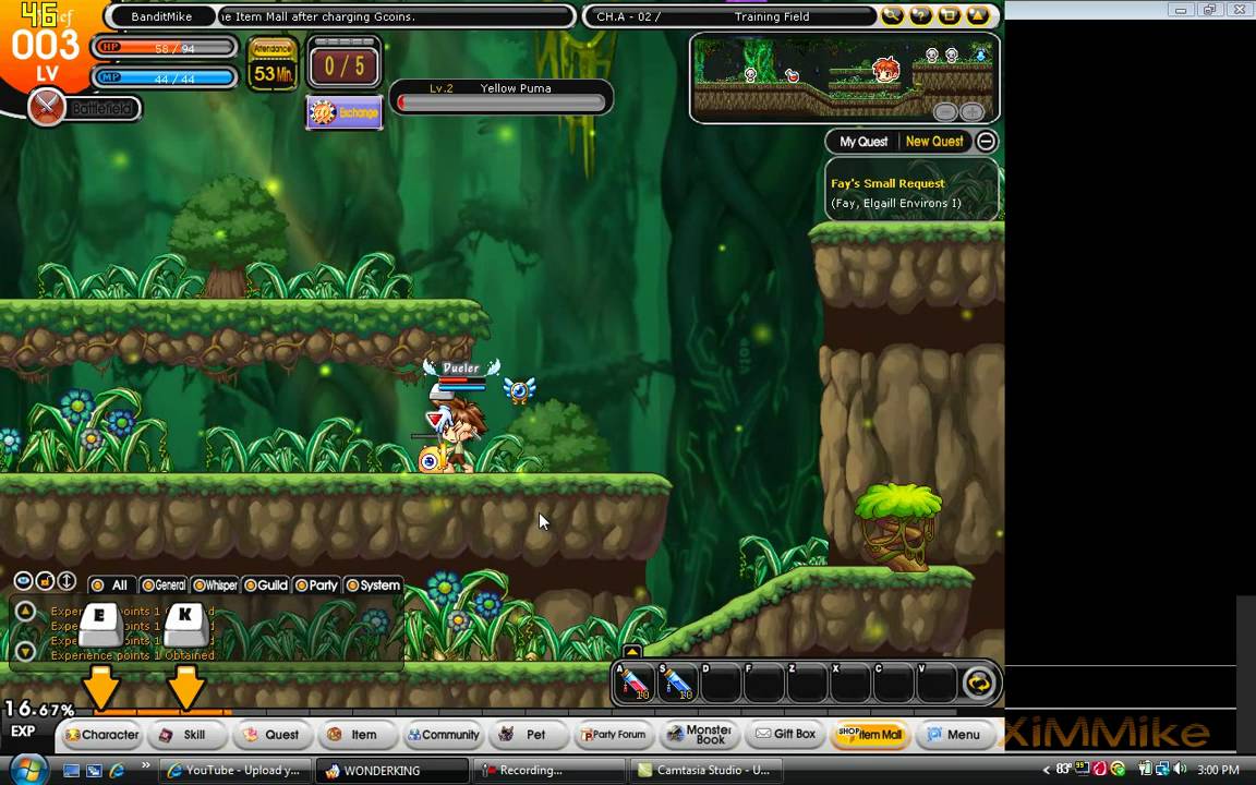 Wonder King Online Gameplay First Look HD - YouTube