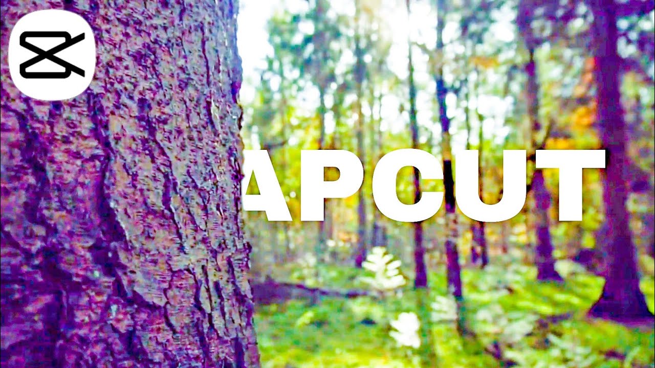 How To Execute The Text Behind Object In CapCut Text Behind The How To Execute The Text Behind Object In CapCut Text Behind The
