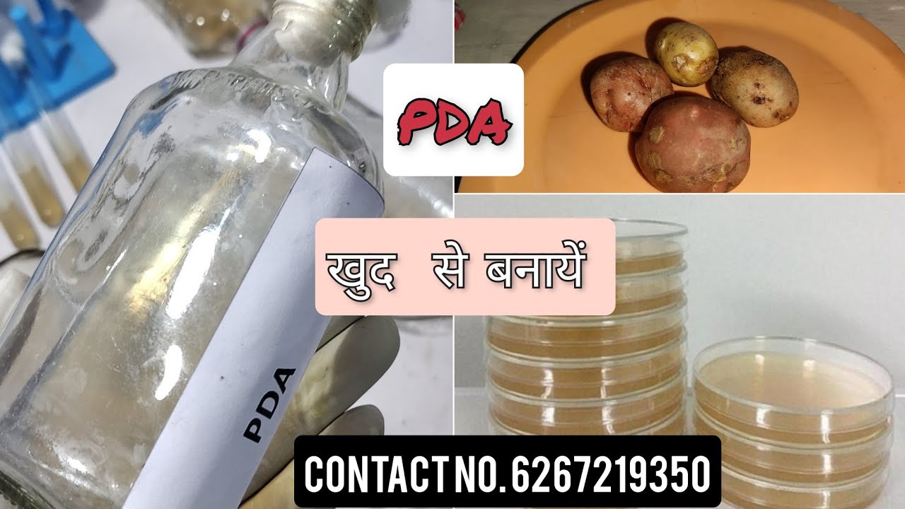 Potato Dextrose Agar ( PDA ) Making Procedure. पोटेटो डेक्सट्रोज़ आगार ...