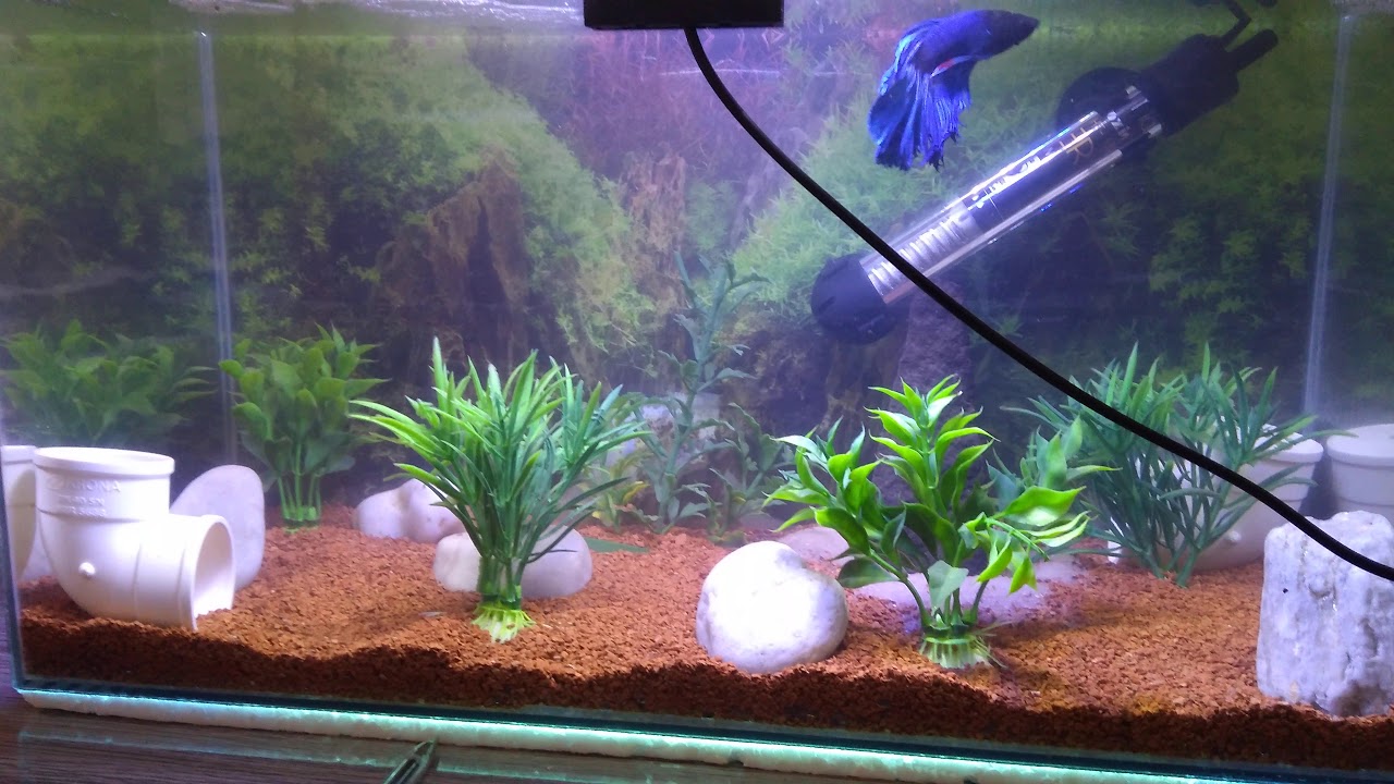 Substrato argilita vermelha terra cota - YouTube