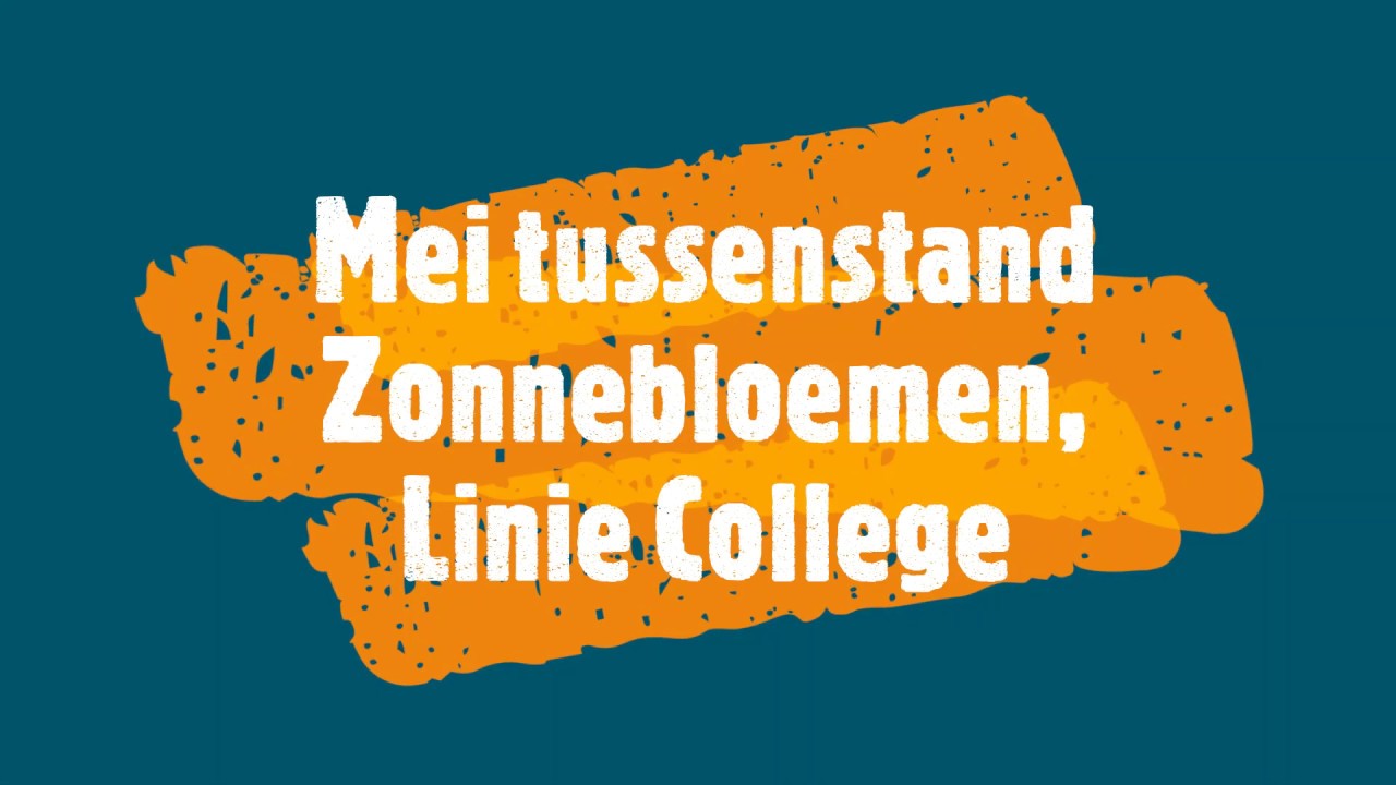 Tussenstand zonnebloemen wedstrijd mei 2020, Linie College te Den ...