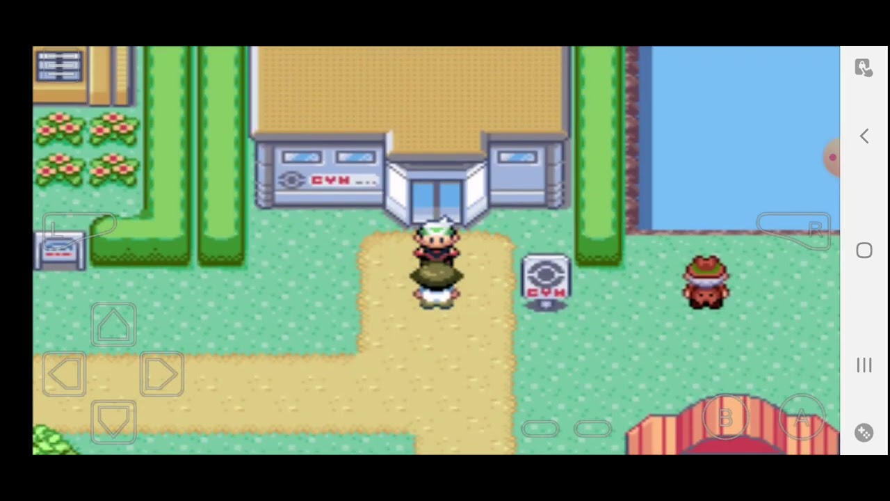 Saga Pokemon Esmerald, Episódio 2- Primeira cidade - YouTube