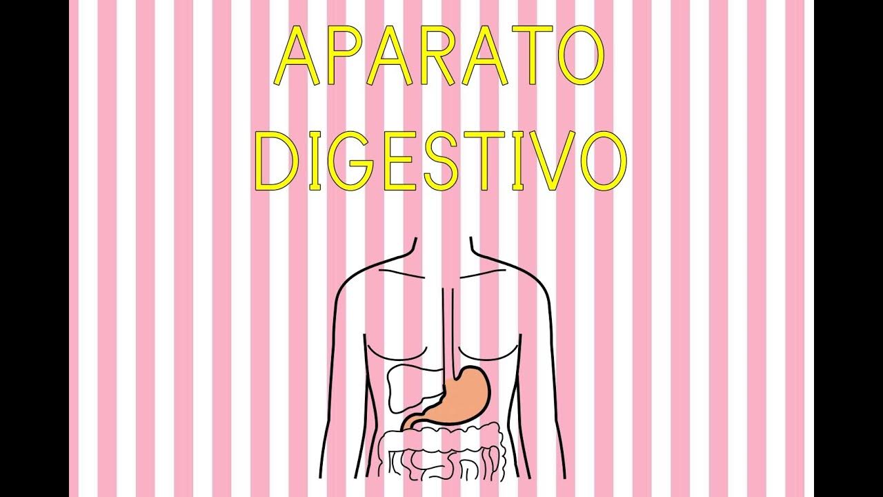 El aparato digestivo explicado con pictogramas de ARASAAC - YouTube