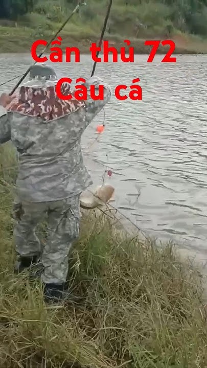 P29. cần thủ 72 tuổi câu cá mè. nhật ký câu cá #shorts - YouTube