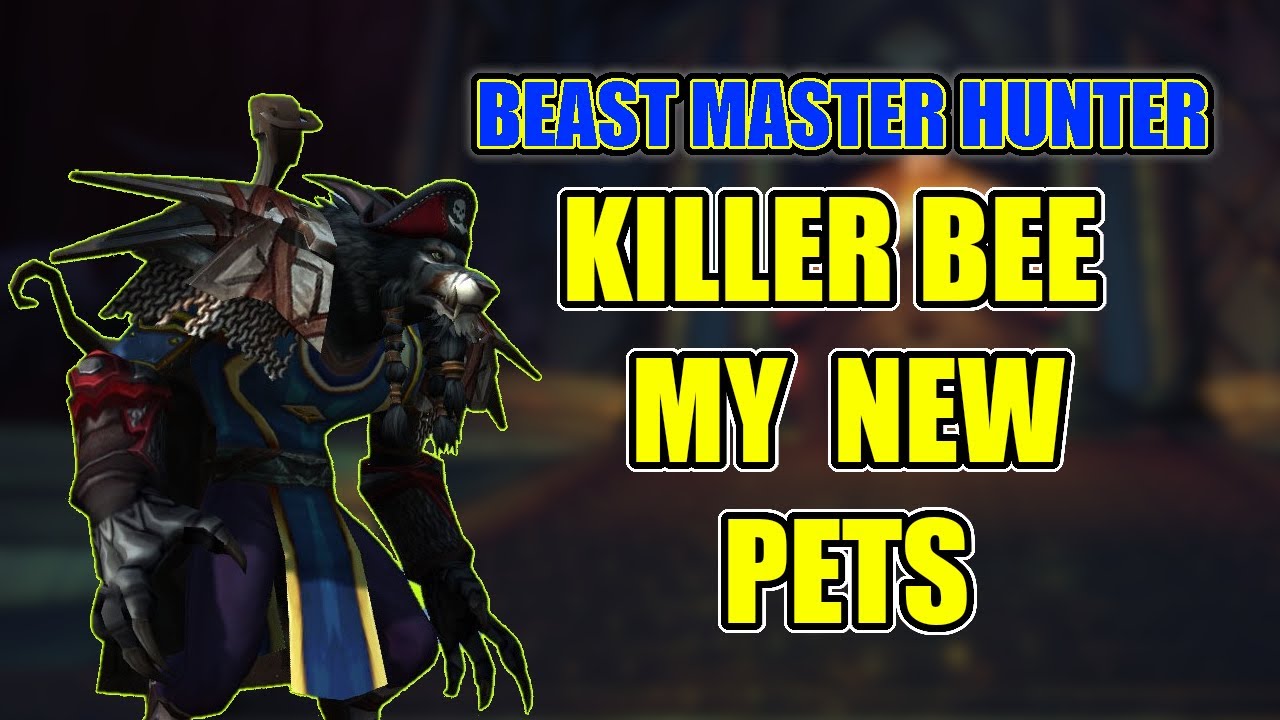 WOW Beast Master hunter Bee Keeper - YouTube