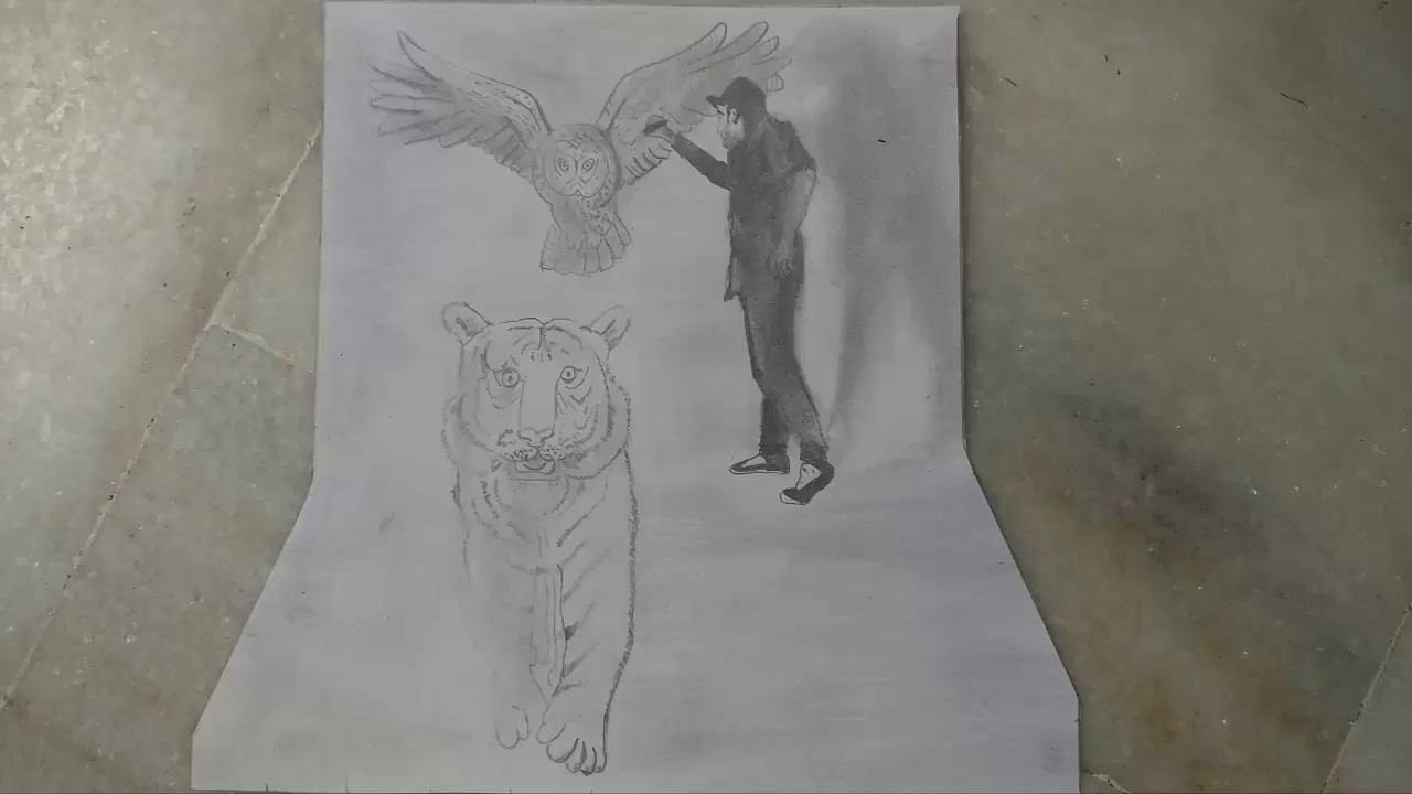 drawing of tiger | pencil shading | artistica - YouTube