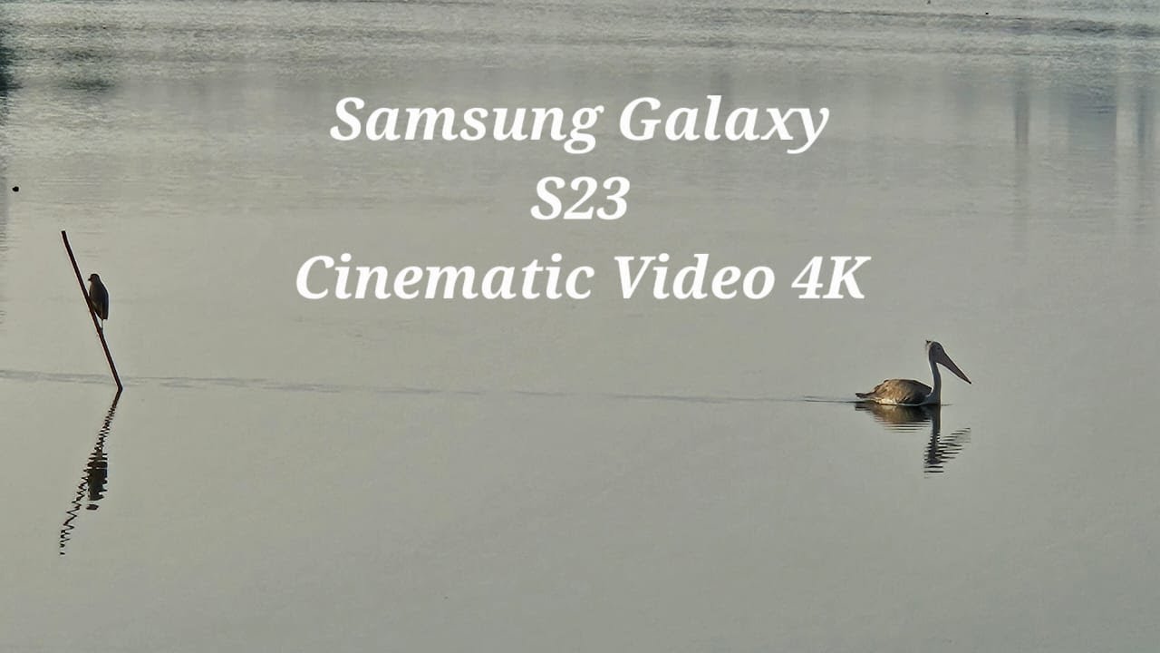 Samsung Galaxy S23 Camera Video Sample 4K 60FPS | Cinematic | Unedited ...