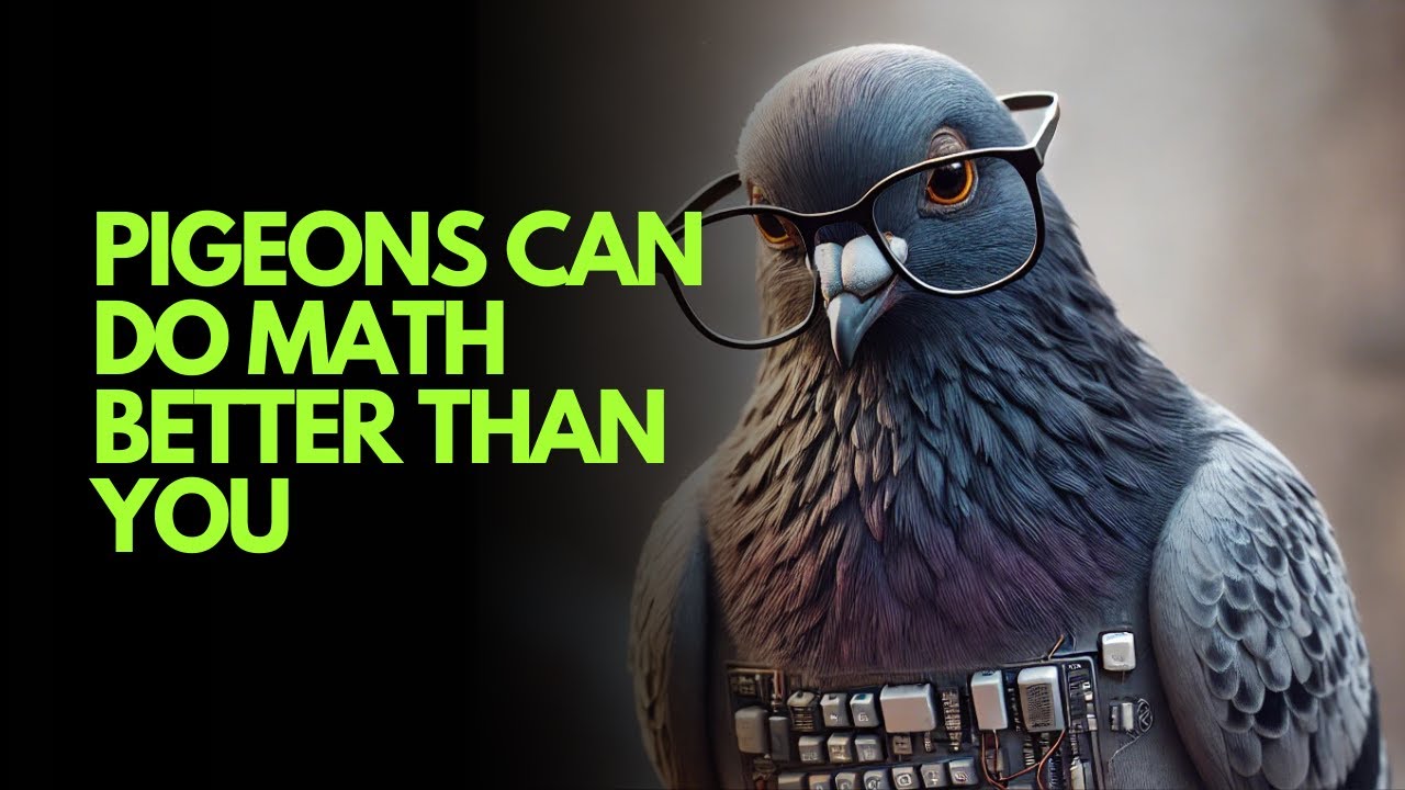 Can Pigeons Really Do Math? You Won't Believe the Answer! 🧠🐦#facts # ...