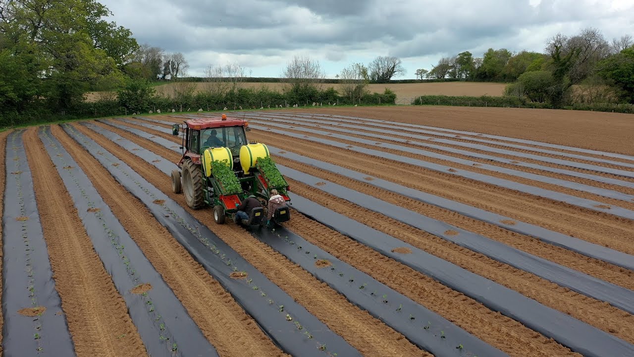 What is a water wheel planter? - YouTube