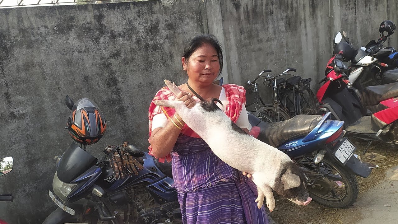 piglet local breed market Assam - YouTube