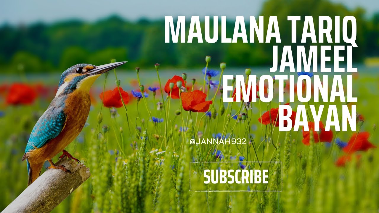 Maulana tariq jameel best islamic bayan. best emotional bayan - YouTube