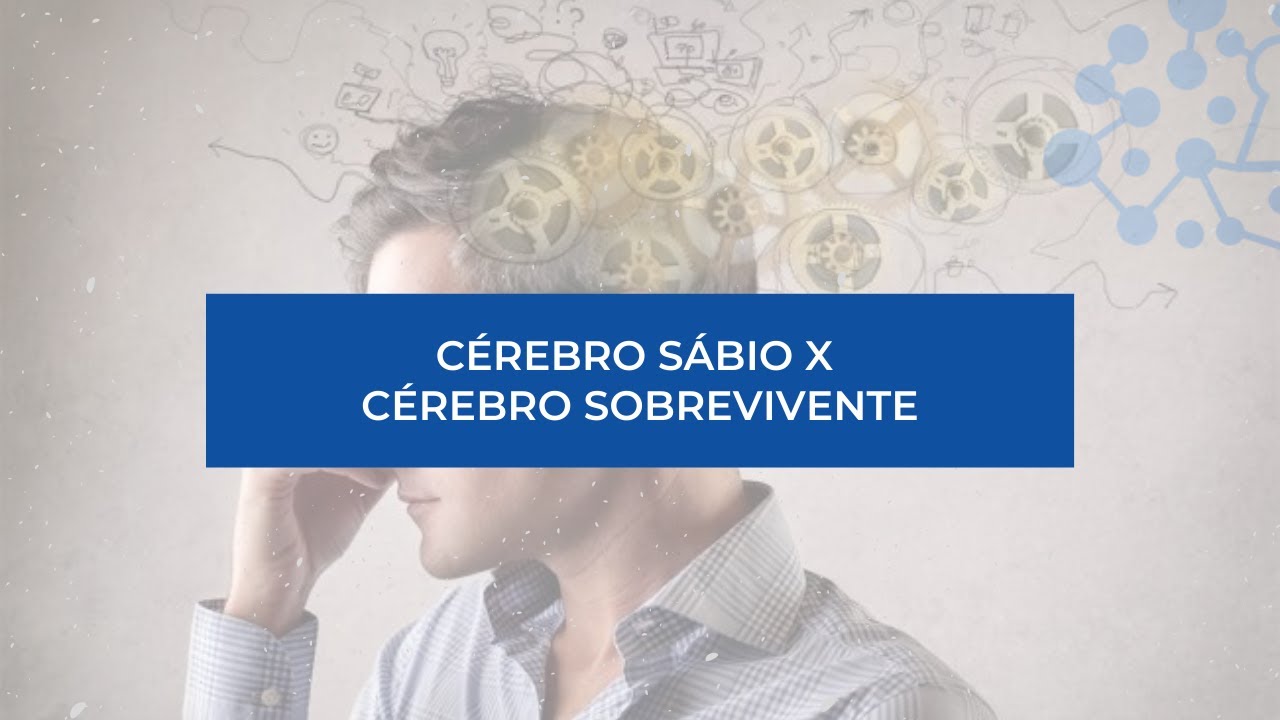 Cérebro sábio X Cérebro sobrevivente - YouTube