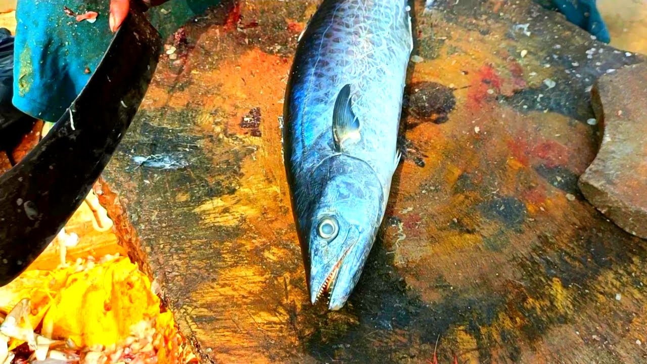 Fresh Seer/Vanjaram Fish Slice Cutting / India Fish Market / CT 360*🔪 ...