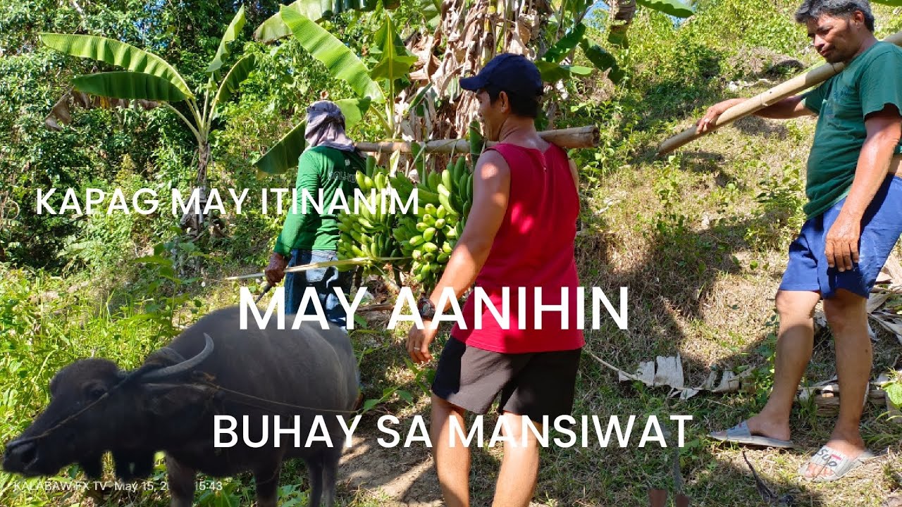 BUHAY SA BRGY. MANSIWAT BOAC MARINDUQUE - YouTube