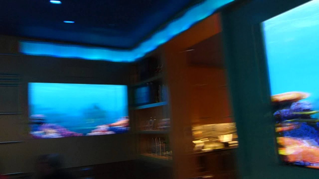 Disney Dream animators palate part 1 - YouTube