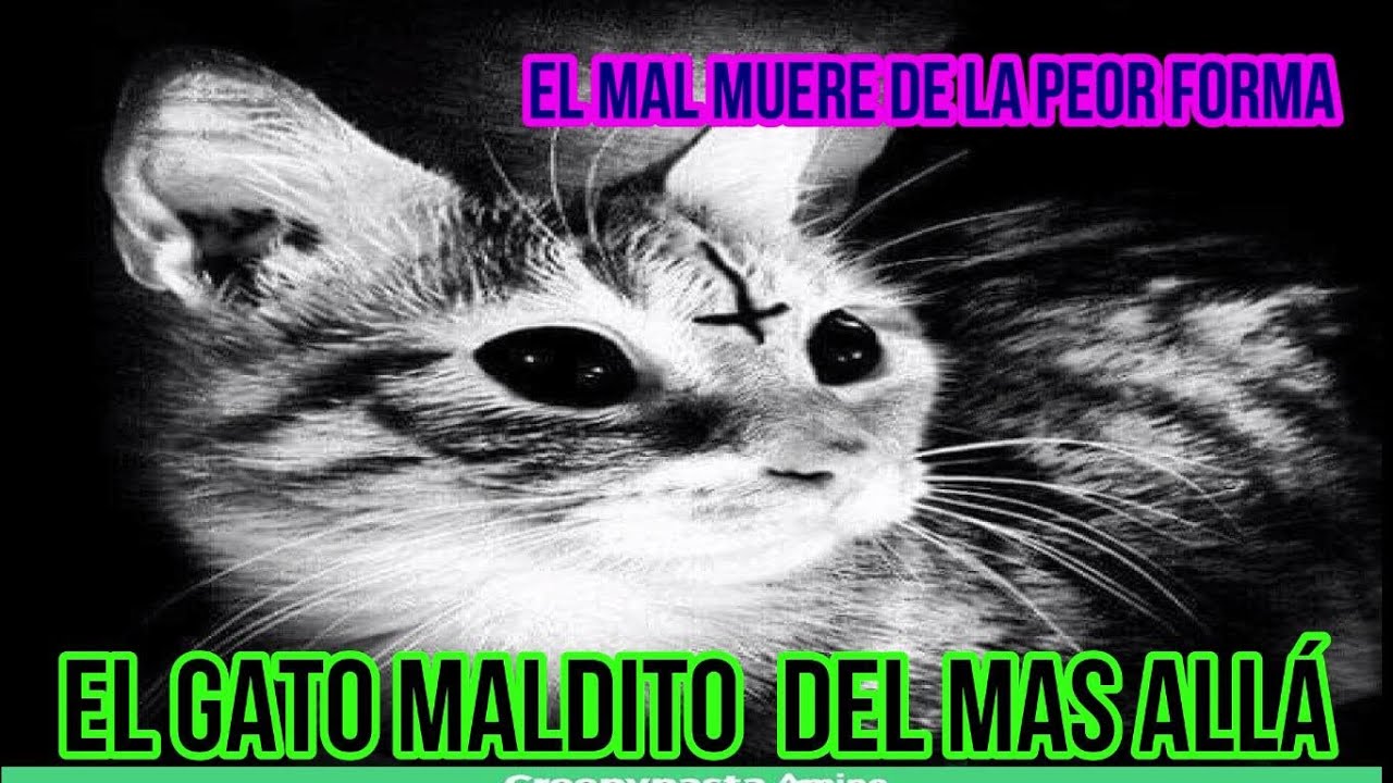 RELATOS DE HORROR EN LA SELVA | El GATO MALDITO DEL MÁS ALLÁ - YouTube
