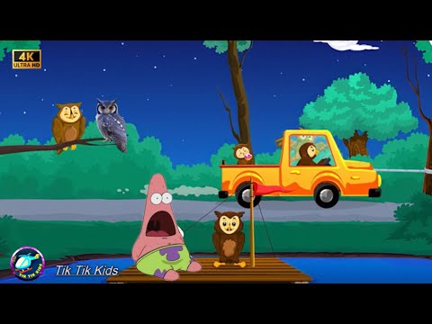 The I ma Owl I am Chicken Going Songs🦉🐣 | Tik Tik Kids