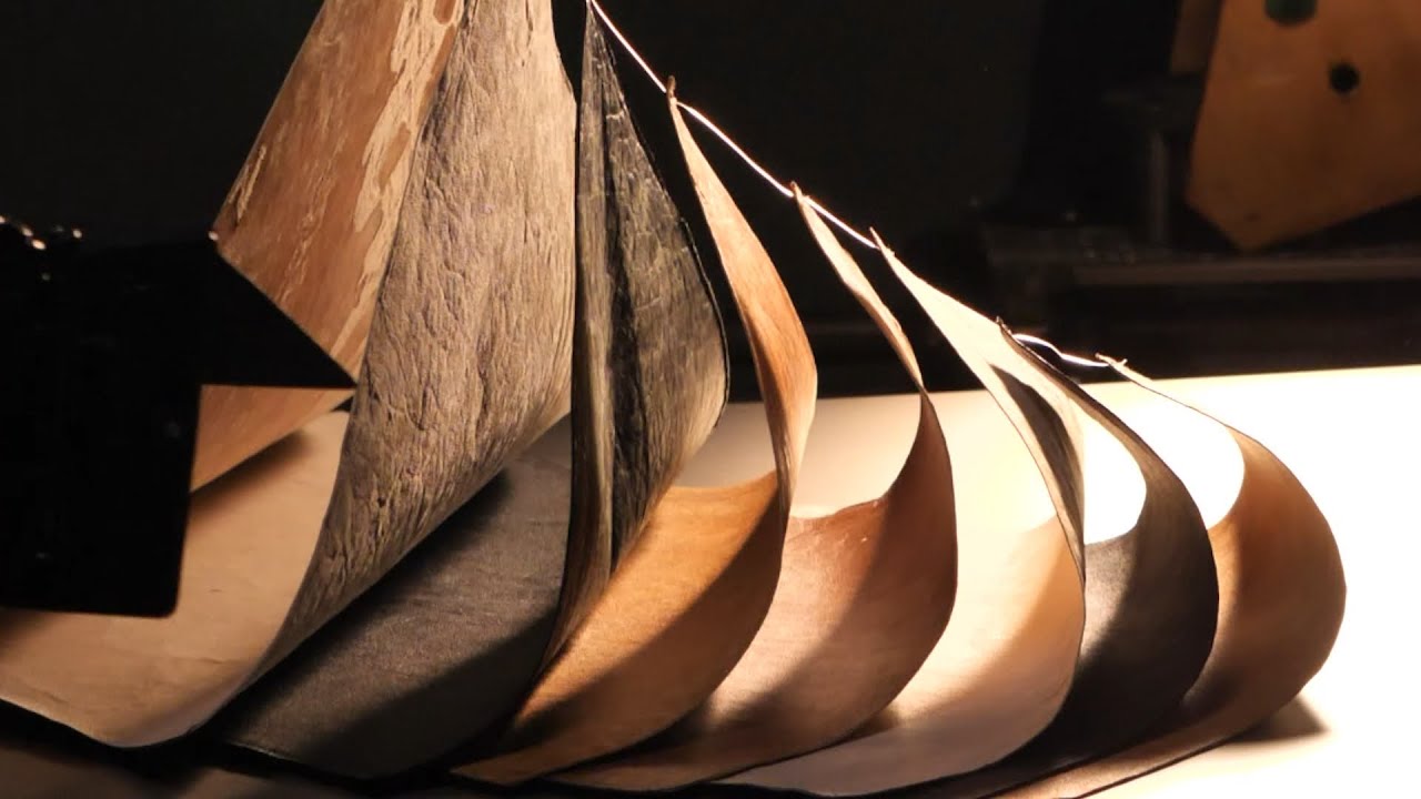 Filming Reishi™ Mycelium Leather Alternative | Behind the Scenes - YouTube