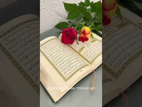 #ilahi #zikir #allah #hu #kesfet #kesfetteyiz #reels #islam #dua #huzur #kalp 