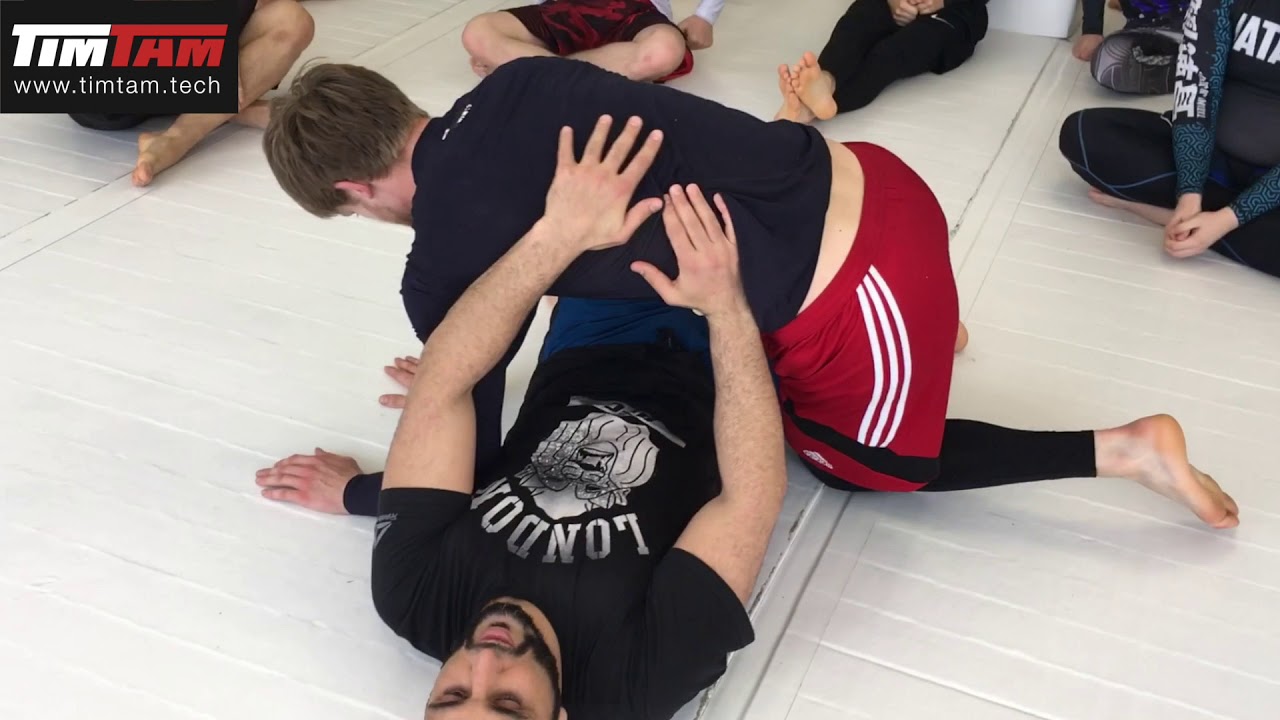 BJJ Technique - Octopus Half Guard Attacks - Coach Zahabi - YouTube