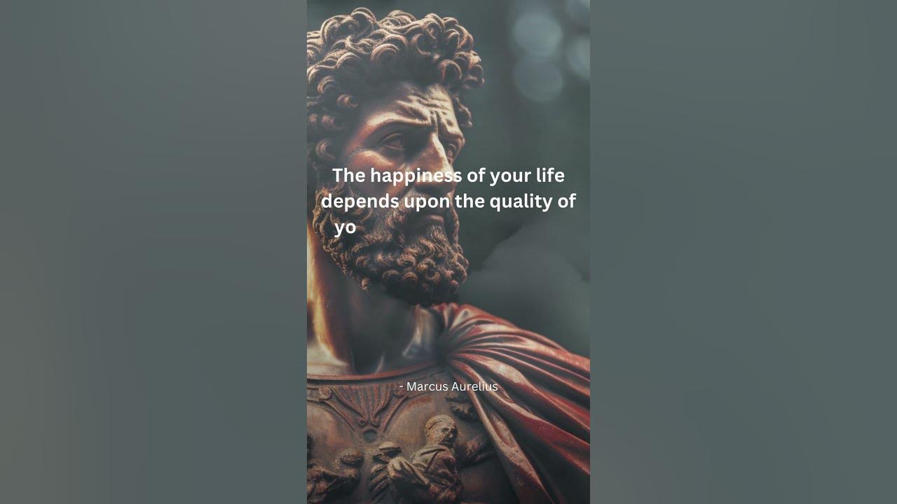Stoic Resilience 4 Quotes To Navigate Lifes Challenges Youtube