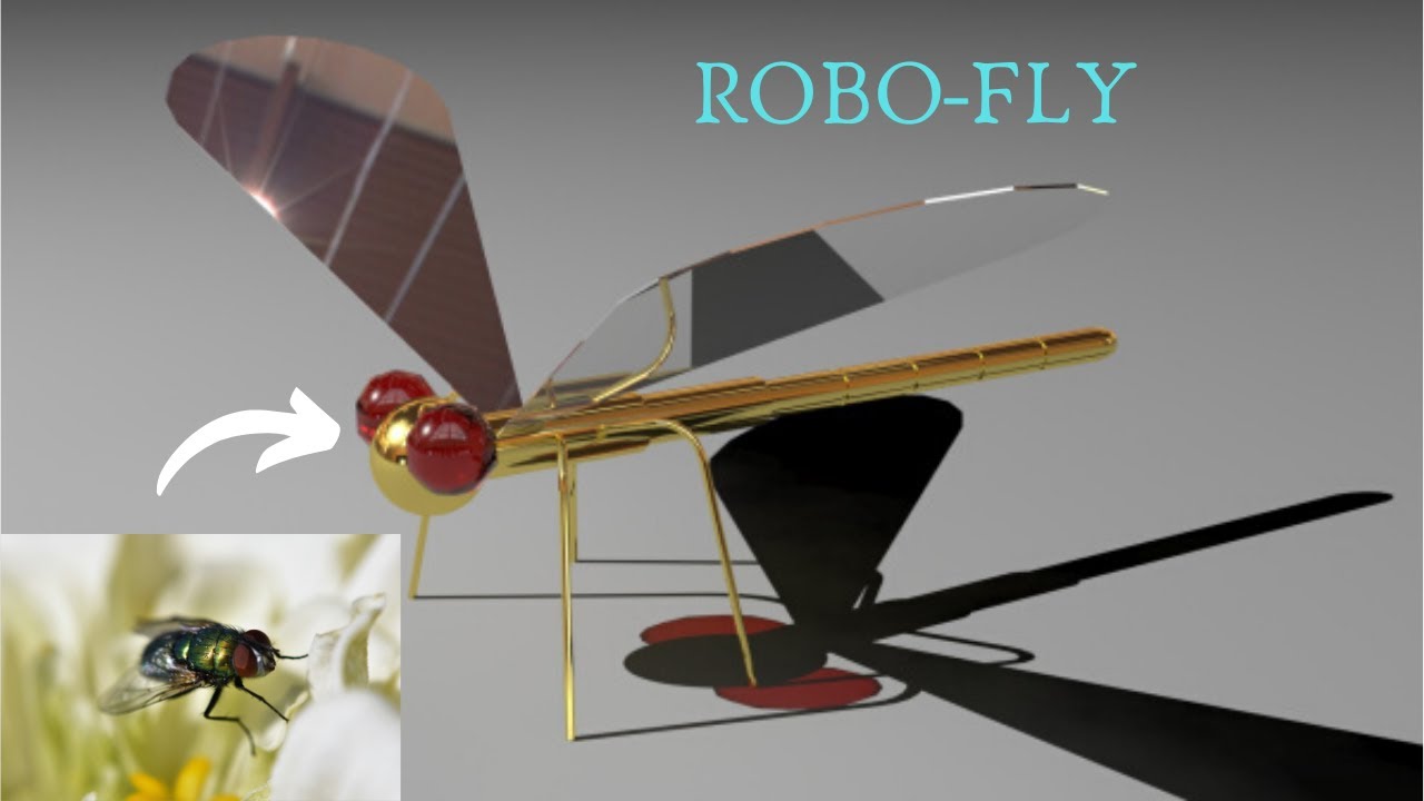 ROBO-FLY!!!!!!!!!! - YouTube