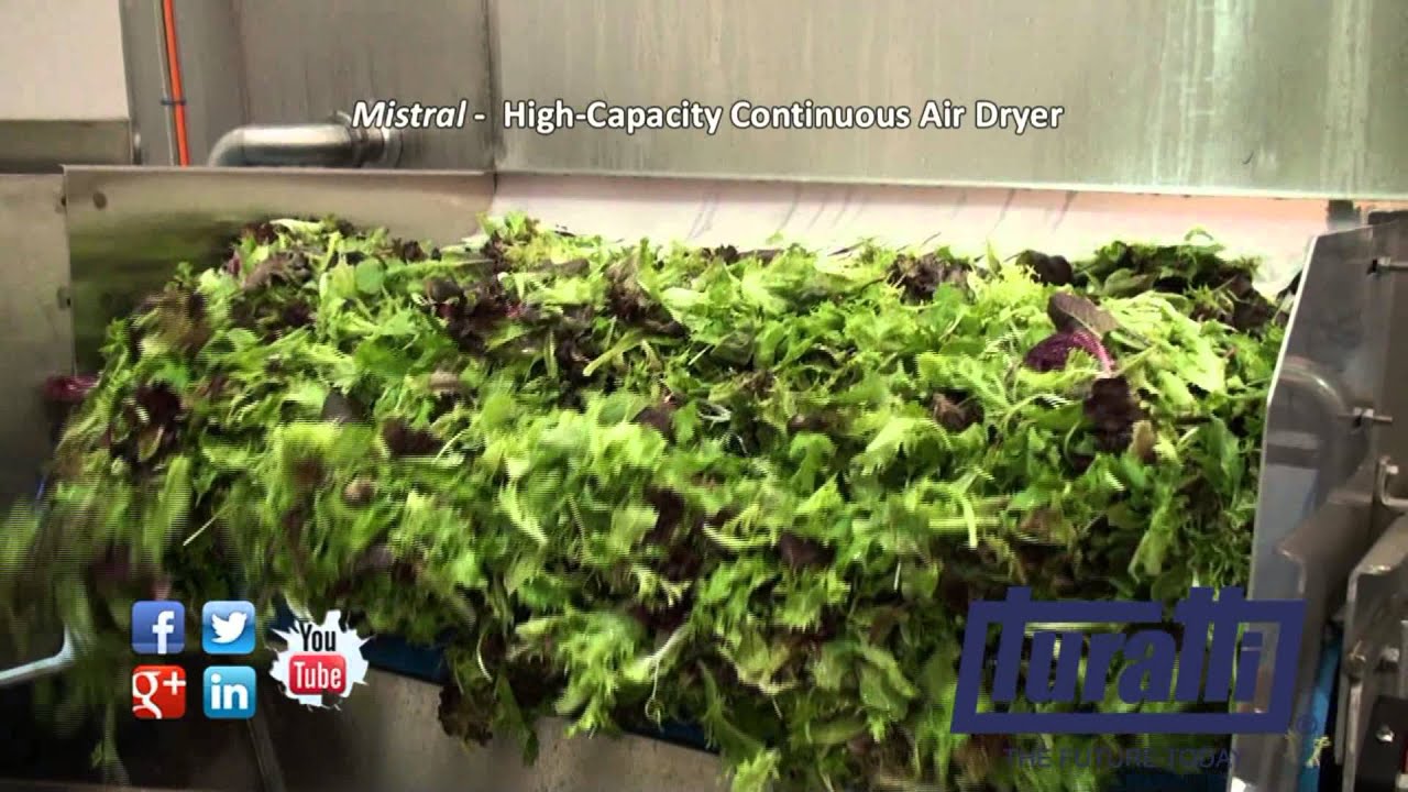 Salad Air Drying System designed for high-capacity by Turatti - YouTube