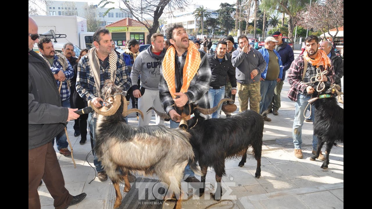 Politischios.gr: Πορεία κτηνοτρόφων της Χίου στην Απλωταριά - YouTube