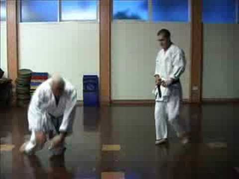 GOJU RYU KARATE - TRAINING TECHNIQUES 3 - BUNKAI - YouTube