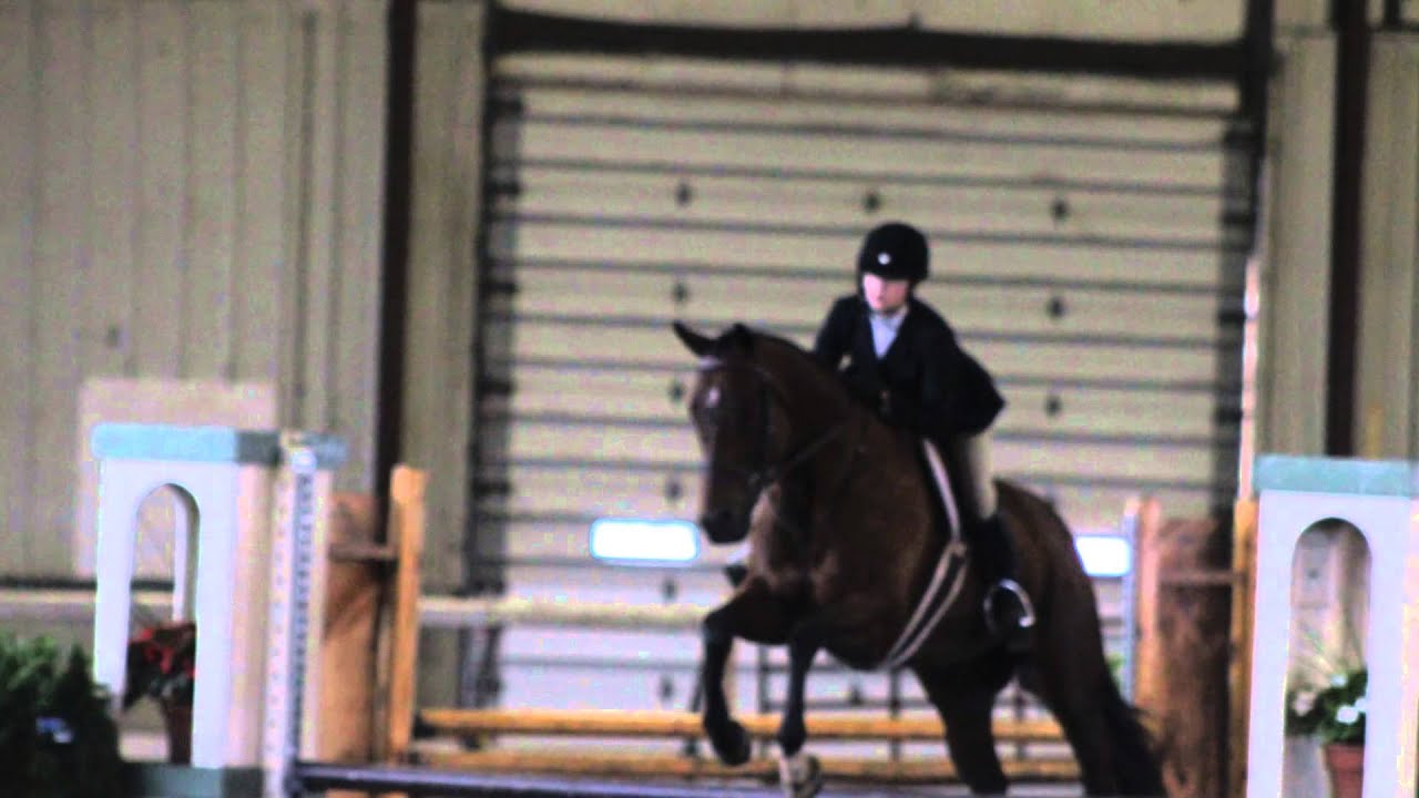 Northeast Benefit Horse Show 2013 Dayna Scott and Tangled Up In Blue ...
